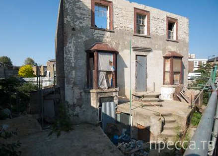 Уильям Литтл (William Lyttle) - человек-крот (7 фото)